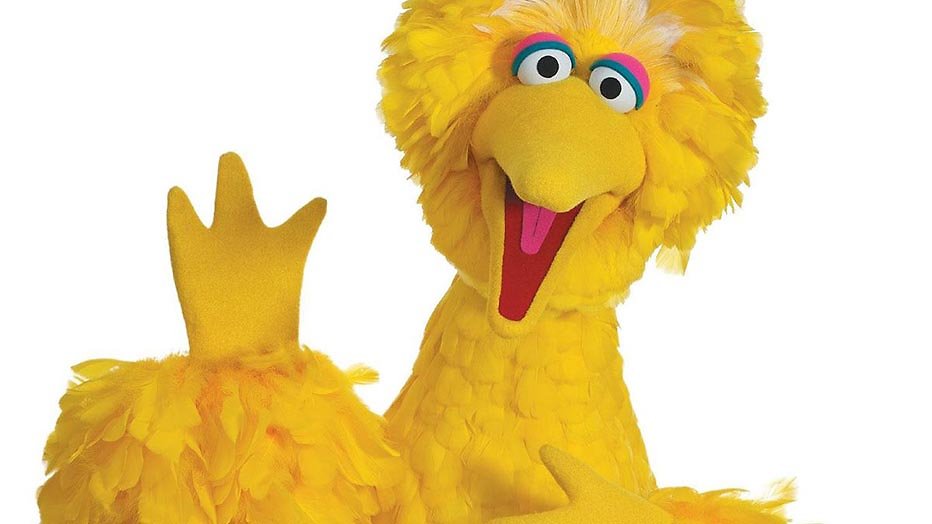 Pino stopt ermee! - TVgids.nl