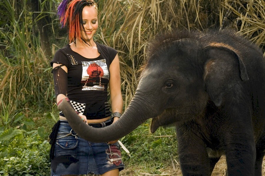 Zoop in India (Film, Avontuur, 2006) kijken - TVgids.nl