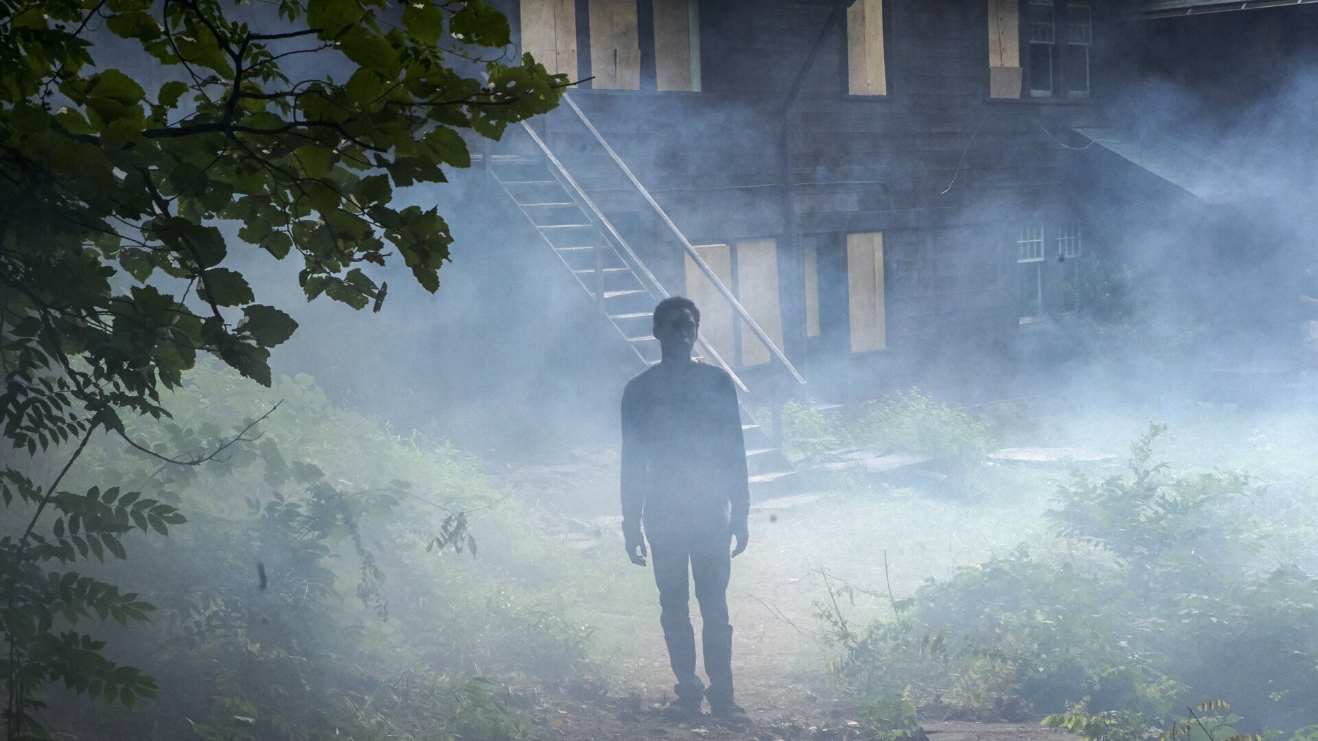 Het bos in met Joel Edgerton in de horror It Comes at Night - TVgids.nl