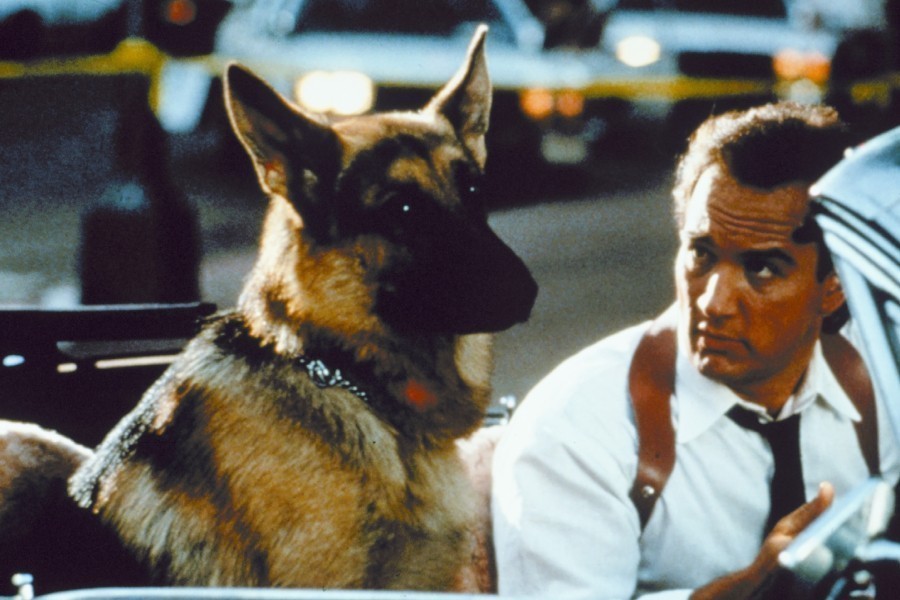 K-9 (Film, Actie, 1989) kijken - TVgids.nl