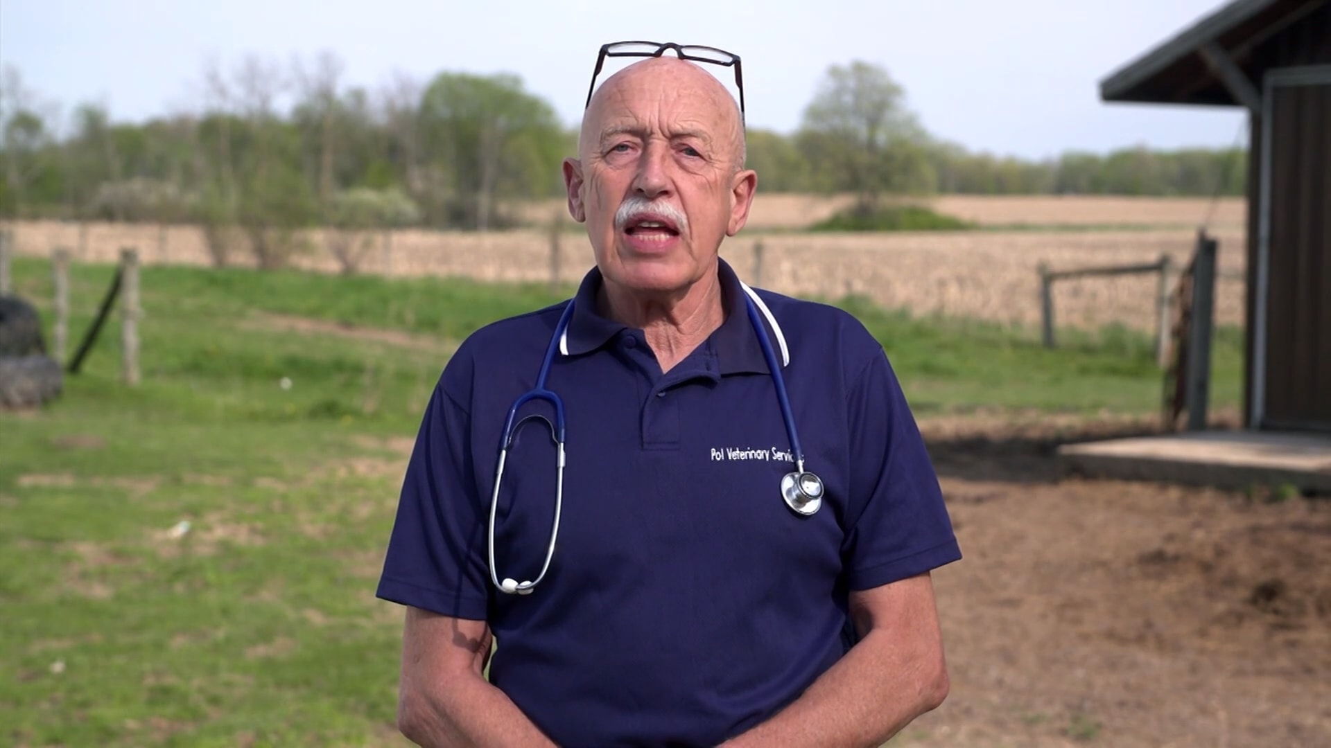 Dr. Pol zoekt Nederlandse collega in nieuw RTL-programma - TVgids.nl