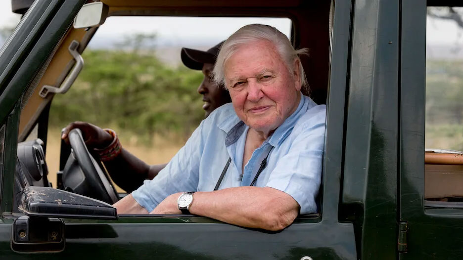 David Attenborough: a life on our planet: Nu op Netflix - TVgids.nl