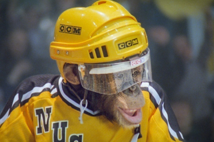 MVP: Most Valuable Primate (Film, Komedie, 2000) kijken - TVgids.nl