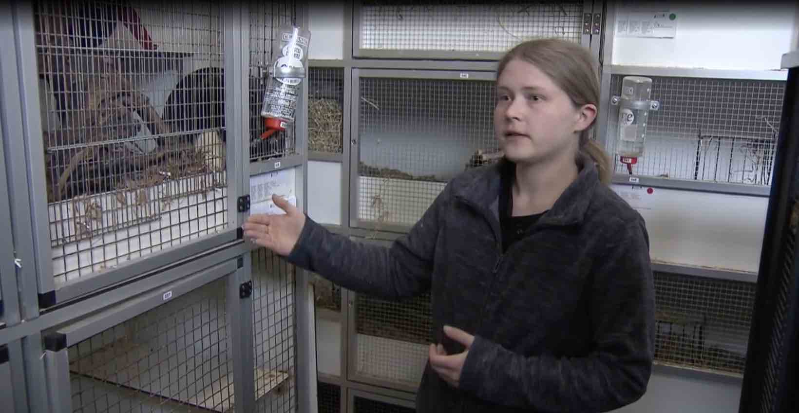 Kijk terug: Adopteer een proefdier! - TVgids.nl