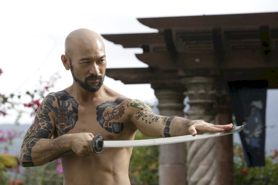 Falcon Rising (Film, Thriller, 2014) kijken - TVgids.nl