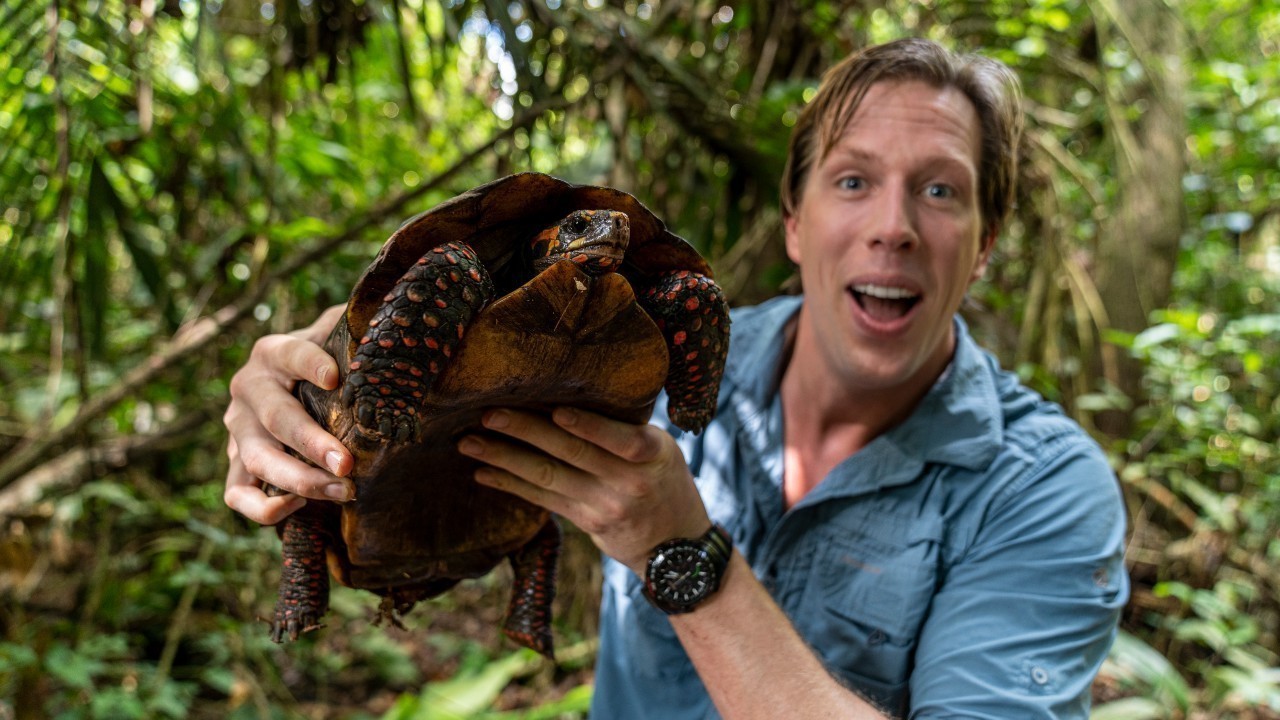 Camera blijft lopen als tv-bioloog Freek Vonk gewond raakt - TVgids.nl