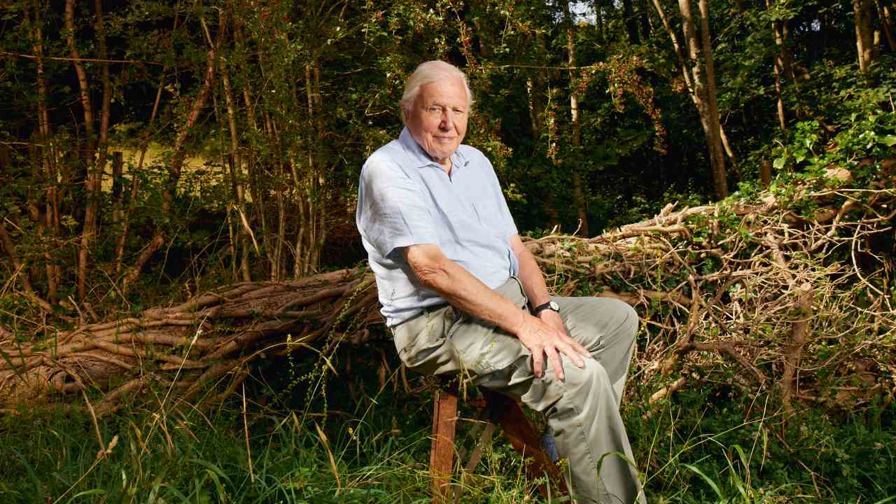 David Attenborough (98) laat je weer de pracht en praal van de wereld zien in Planet Earth ...