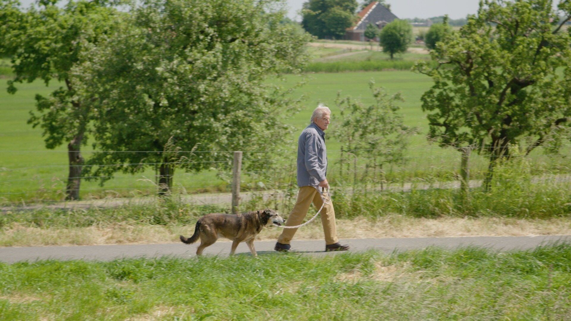 Frans Bromet sluit zijn documentaireserie over honden af op NPO 3 ...