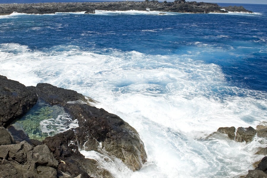 Sharks of Lost Island (Informatief) kijken - TVgids.nl