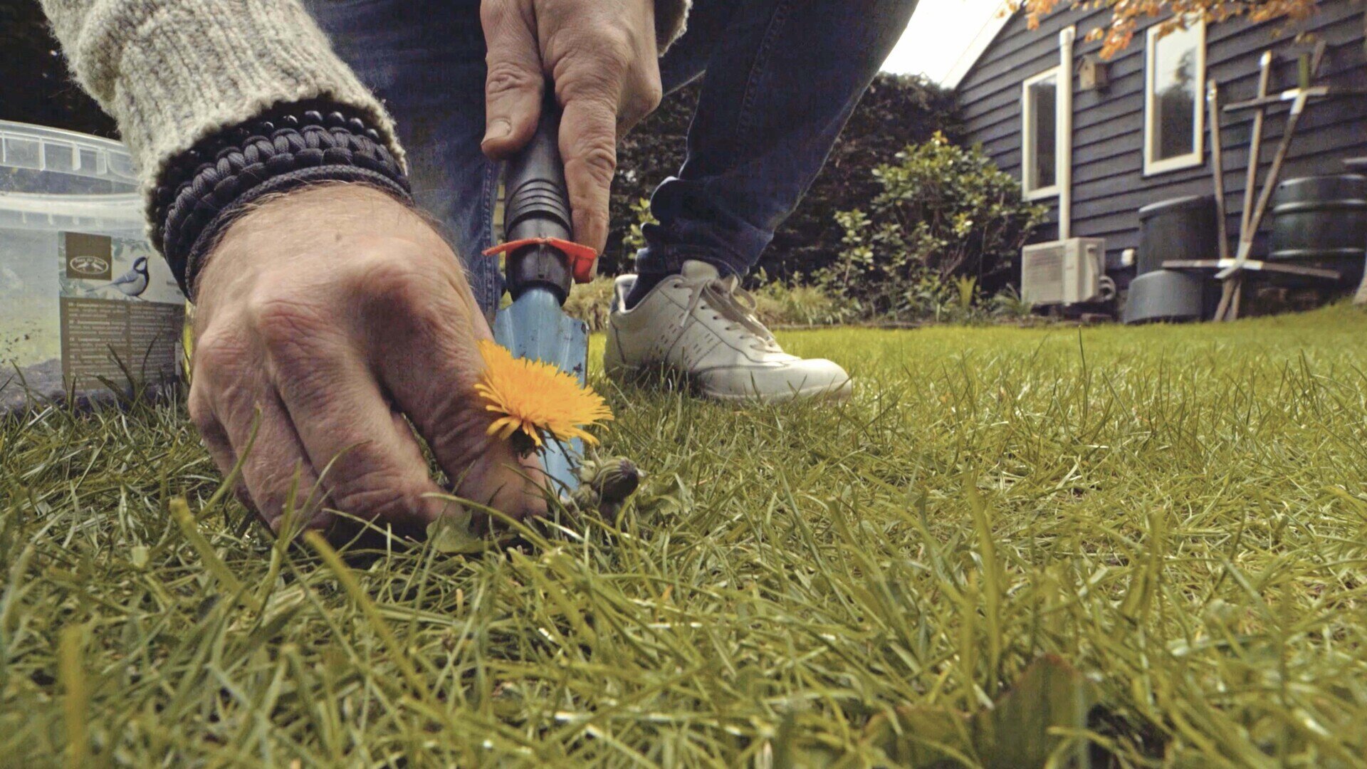 De obsessie van de mens met zijn gazon in beeld - TVgids.nl