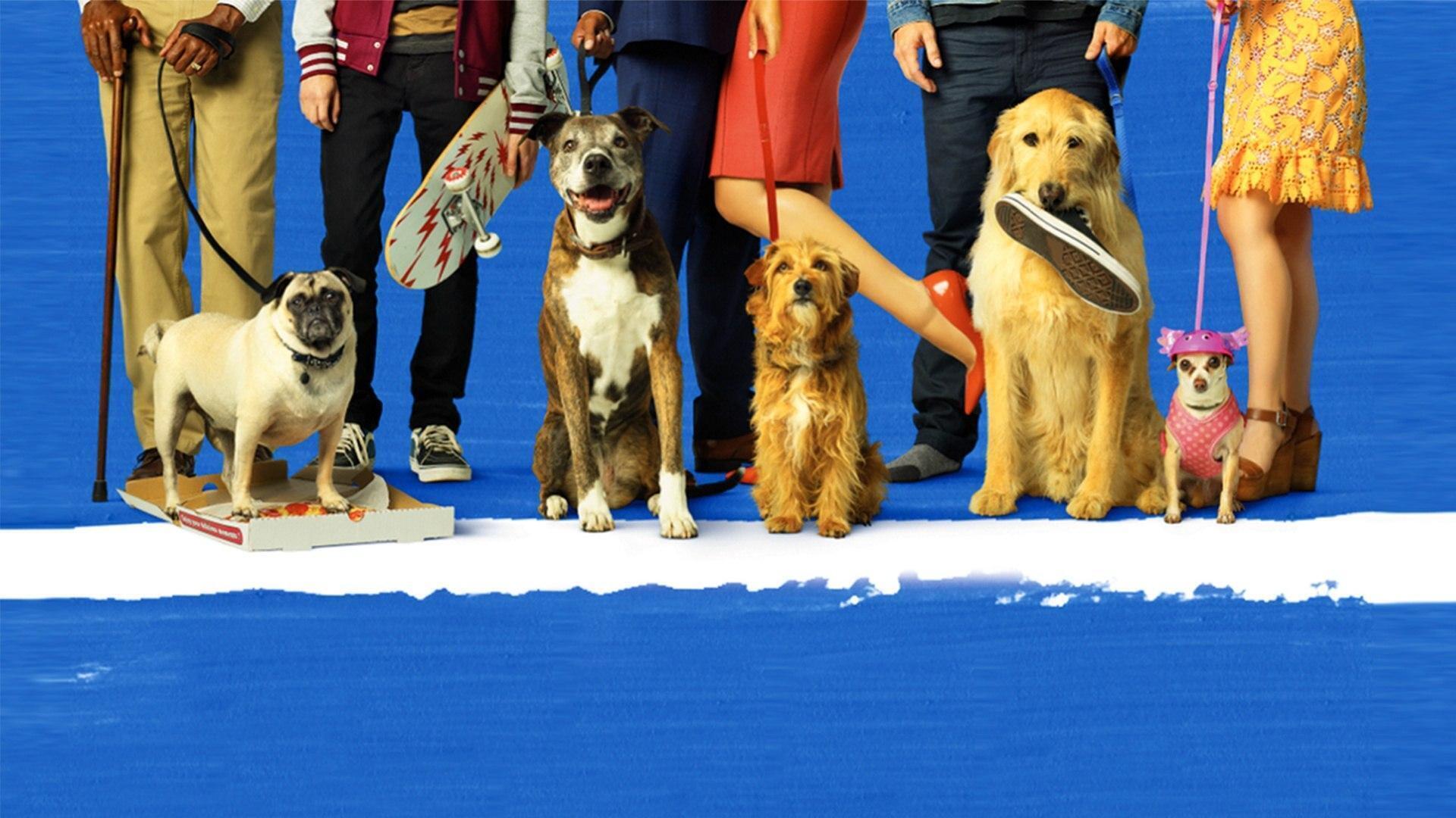 Honden helpen in de liefde in hartverwarmende film Dog Days - TVgids.nl