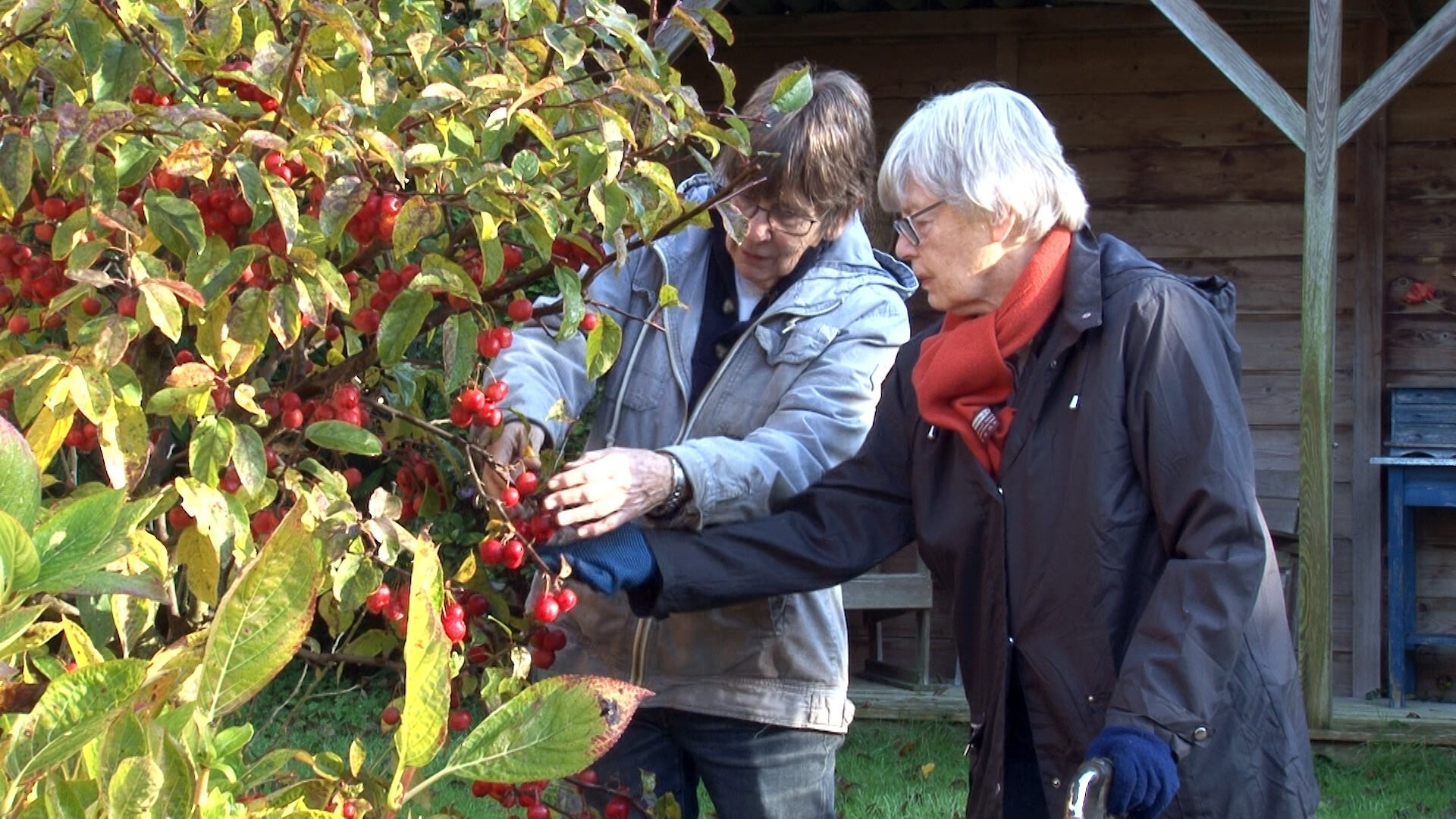 De weken voor de dood in 2Doc: Voorgoed Samen - TVgids.nl