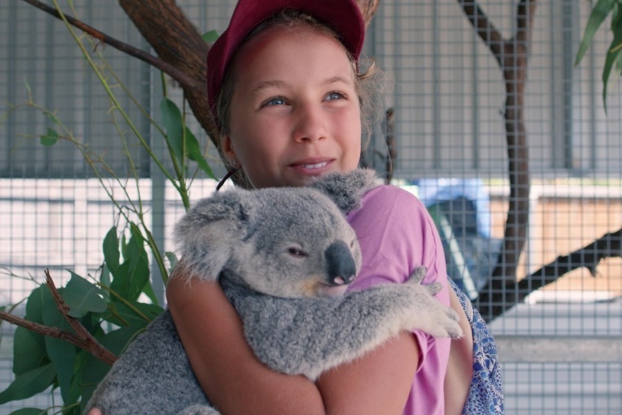 Izzy's Koala World (Informatief, Dieren) kijken - TVgids.nl