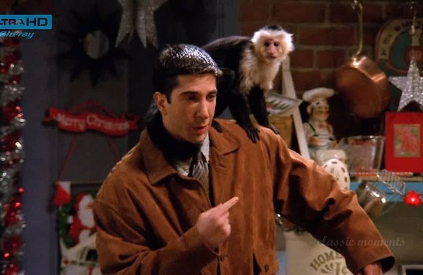 Aap Marcel uit Friends heeft weer tv-rol te pakken - TVgids.nl
