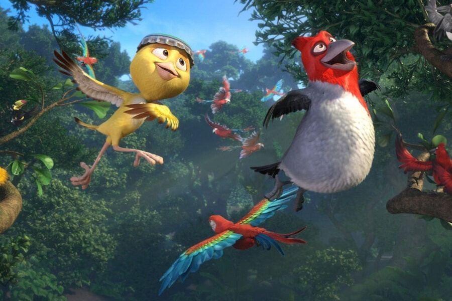 Rio 2nico Roadrunner And Friends Adventure: Rio Rosy Bunny Wattpad