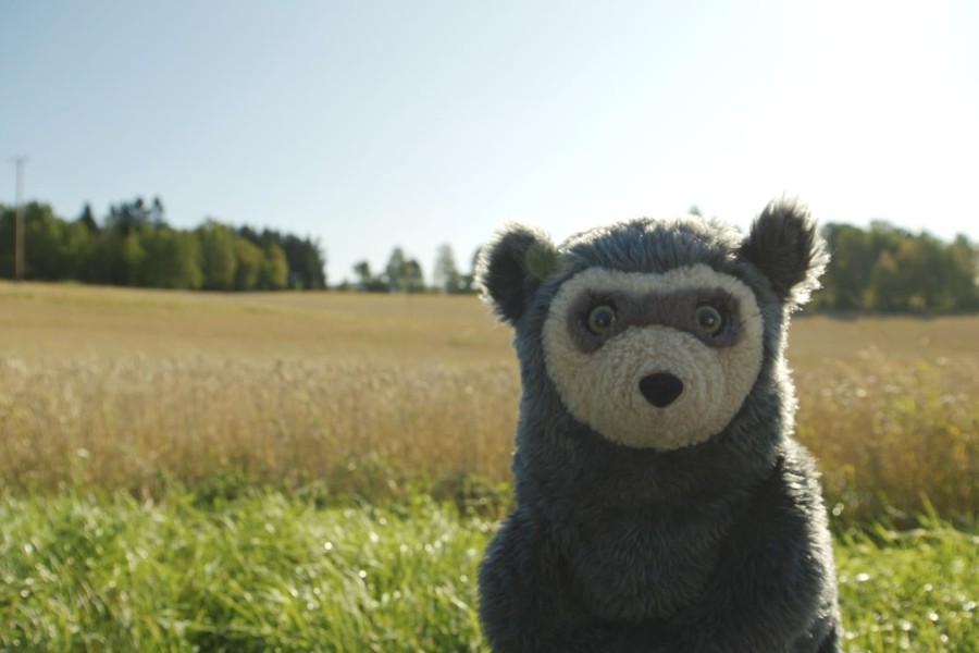 Bo Beer (Informatief, Educatie) kijken - TVgids.nl