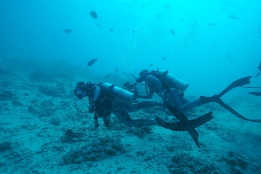 Extinct or Alive: The Lost Shark (Informatief, Dieren) kijken - TVgids.nl