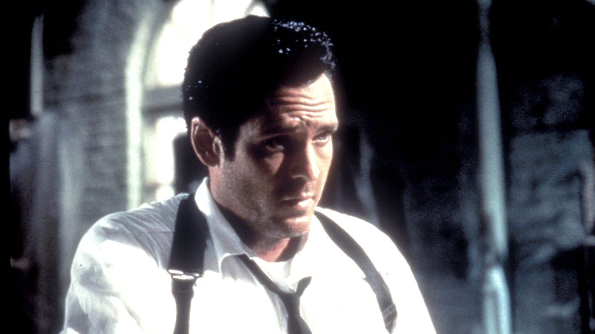 Tim Roth, Michael Madsen en Buscemi maken er een zooitje van in ...