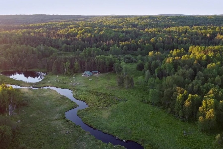 Flee the Light (Film, Drama, 2021) kijken - TVgids.nl