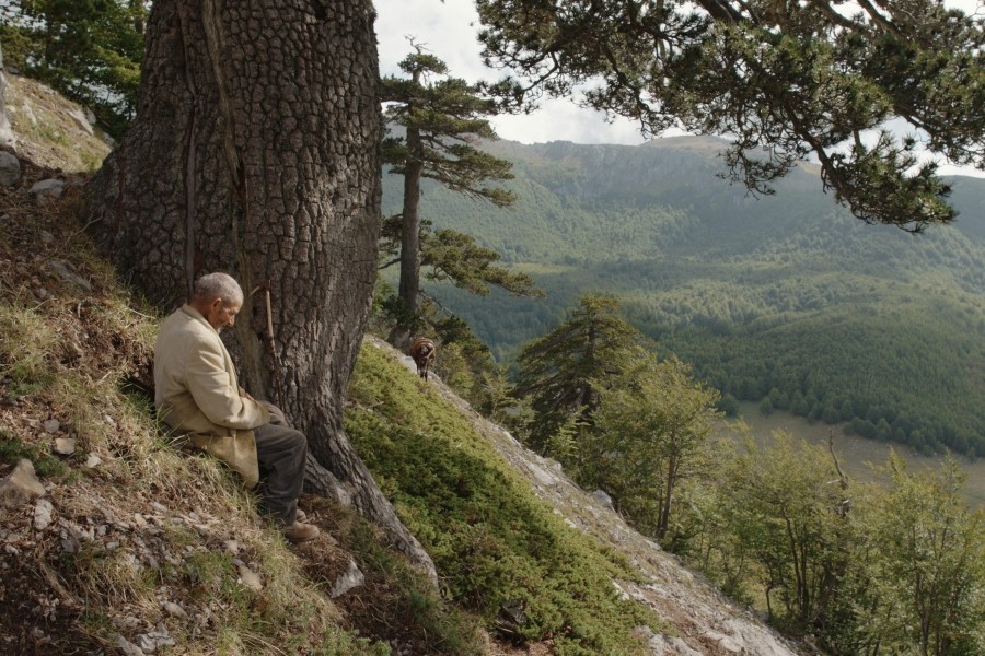 Il Buco (Film, Drama, 2021) kijken - TVgids.nl