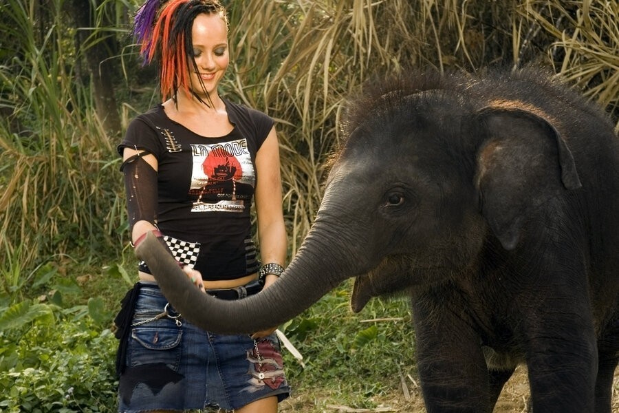 Zoop in India (Film, Avontuur, 2006) kijken - TVgids.nl
