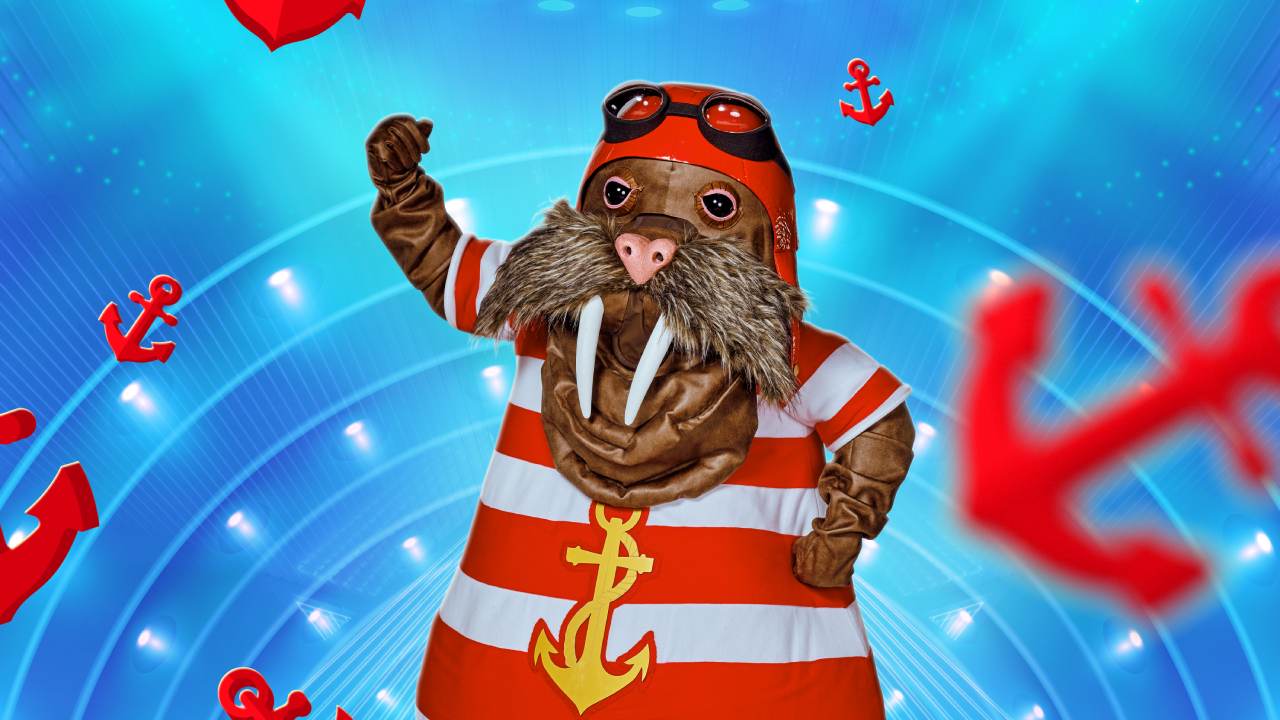 Wie gaat er schuil achter het pak van de Walrus in The Masked Singer ...
