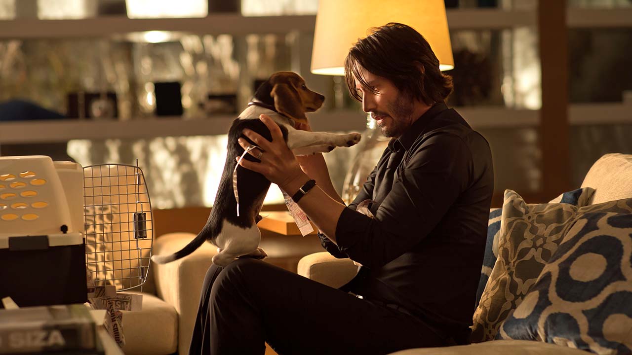 Keanu Reeves neemt wraak in de keiharde actiefilm John Wick - TVgids.nl